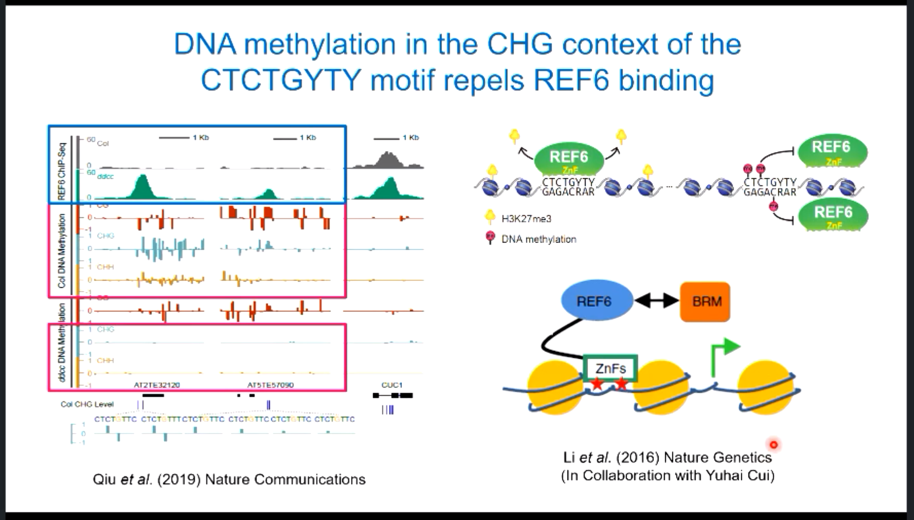 植物表观遗传调控机理与育种应用 | kento_blog