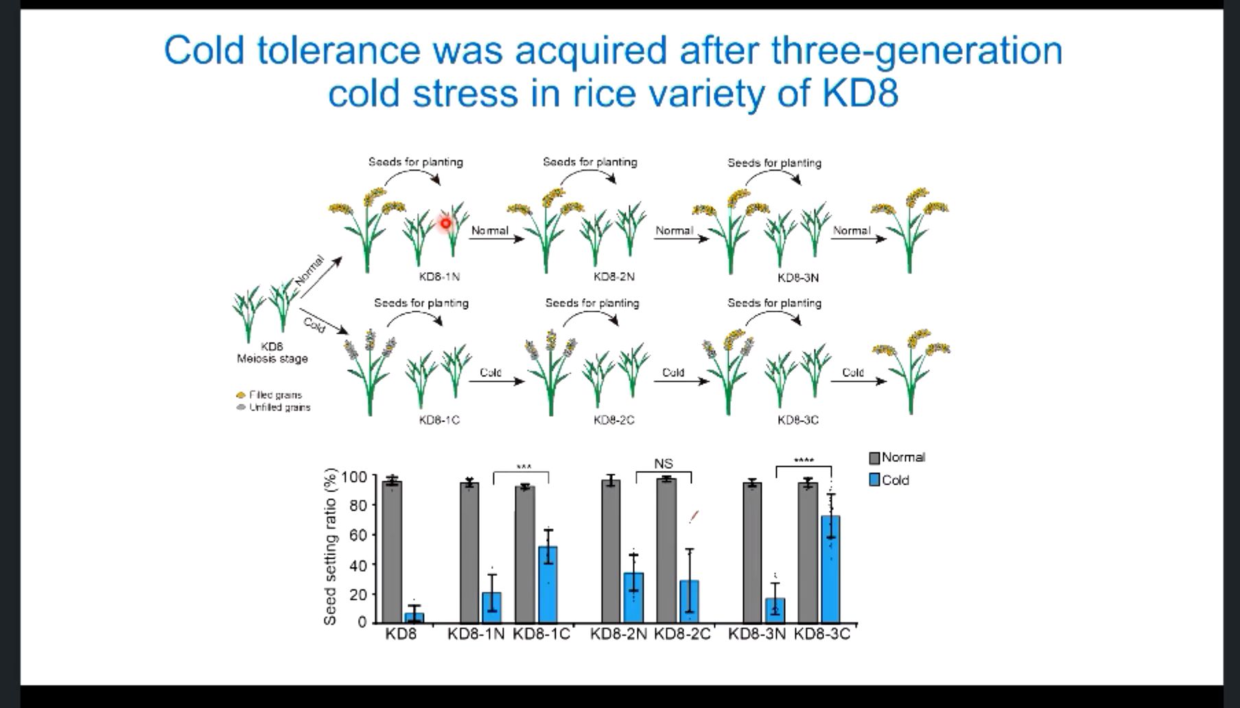 植物表观遗传调控机理与育种应用 | kento_blog