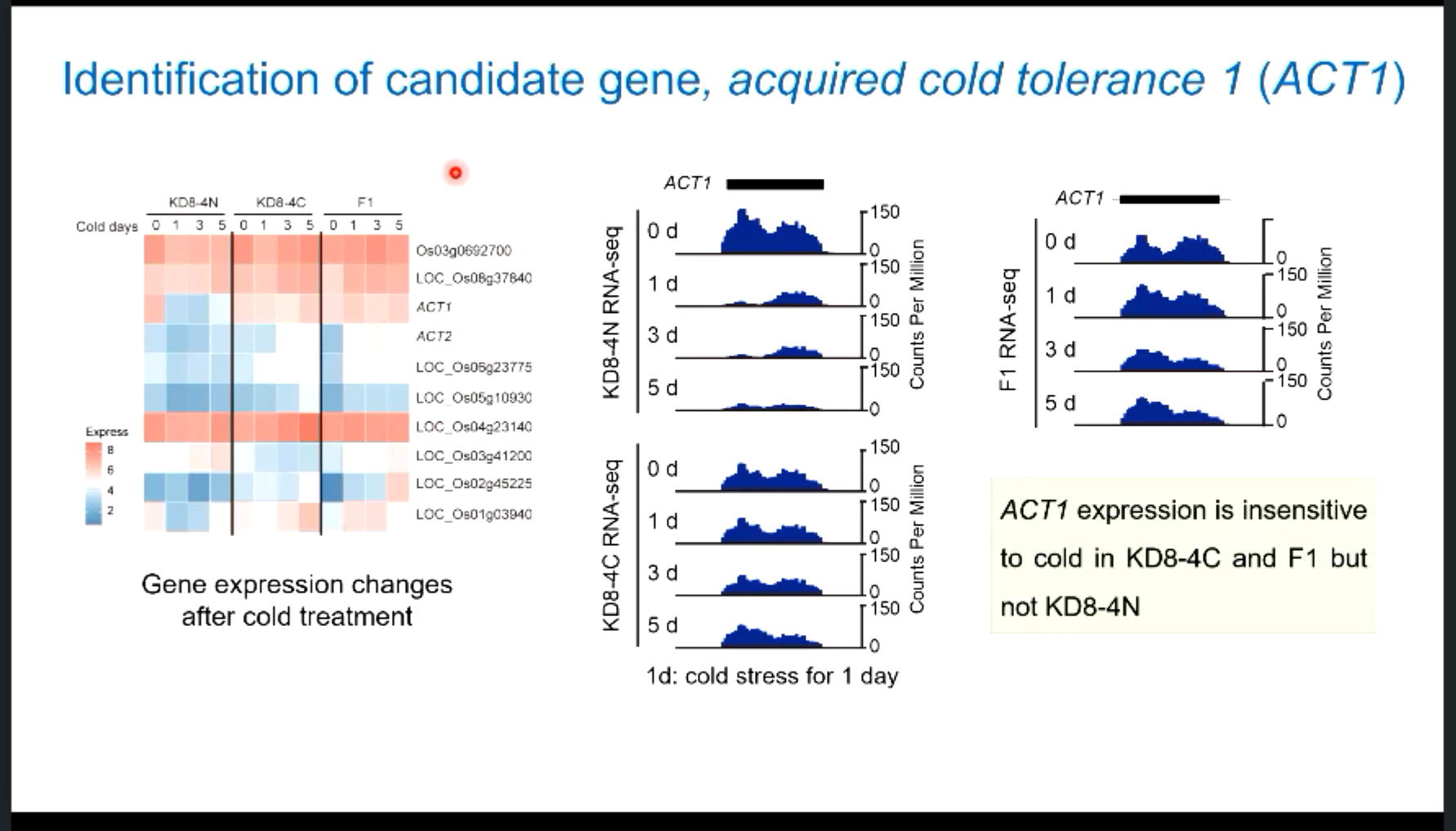 植物表观遗传调控机理与育种应用 | kento_blog