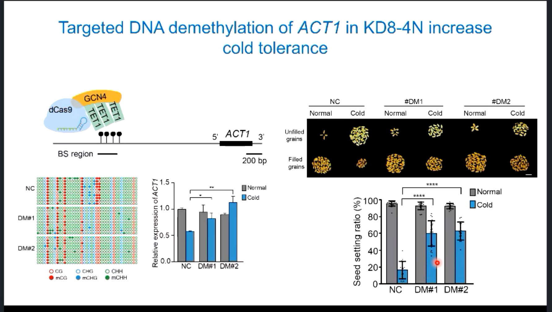 植物表观遗传调控机理与育种应用 | kento_blog